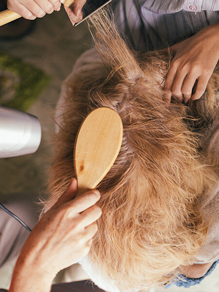 Landing | Pet Grooming